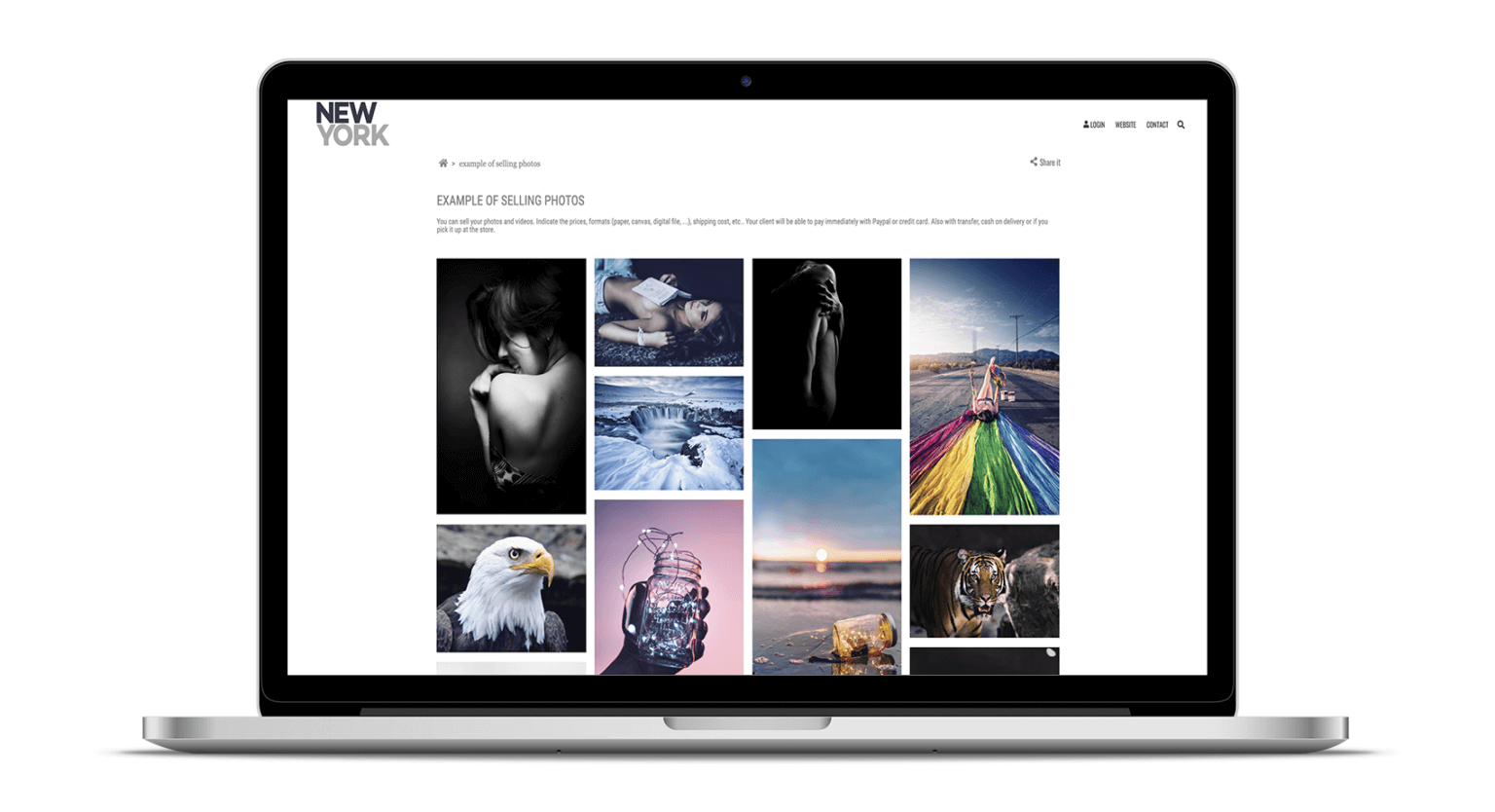 Learn How to Sell Digital Files Online